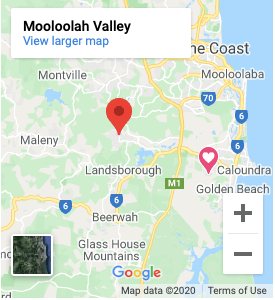 Home - Suncoast Driving School